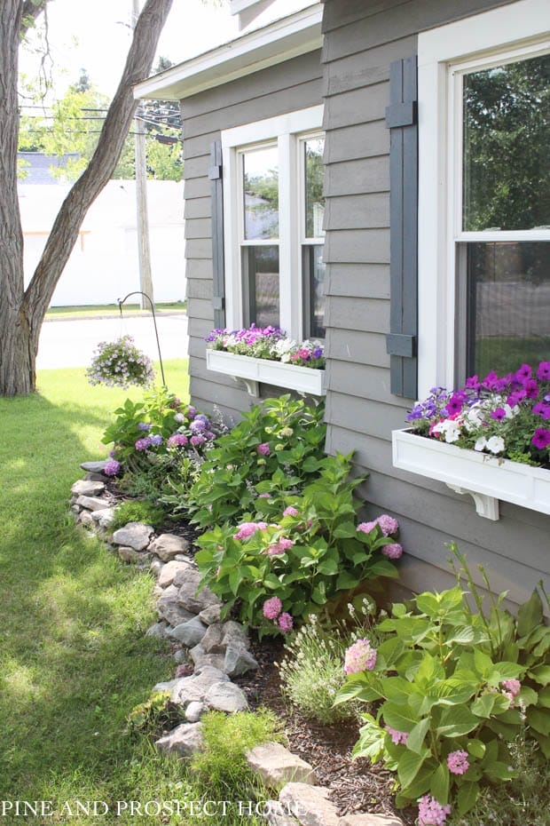 Flower beds in front of house store