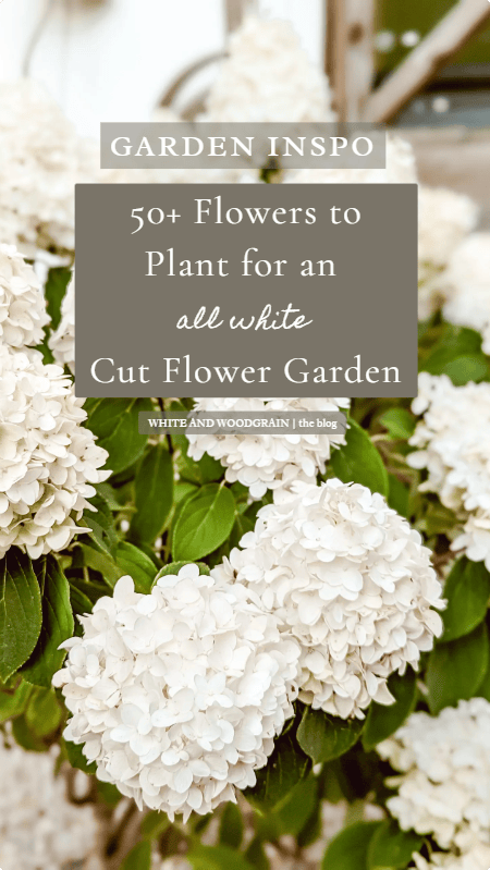 50+ White Flowers for a Moonlight Garden - White and Woodgrain
